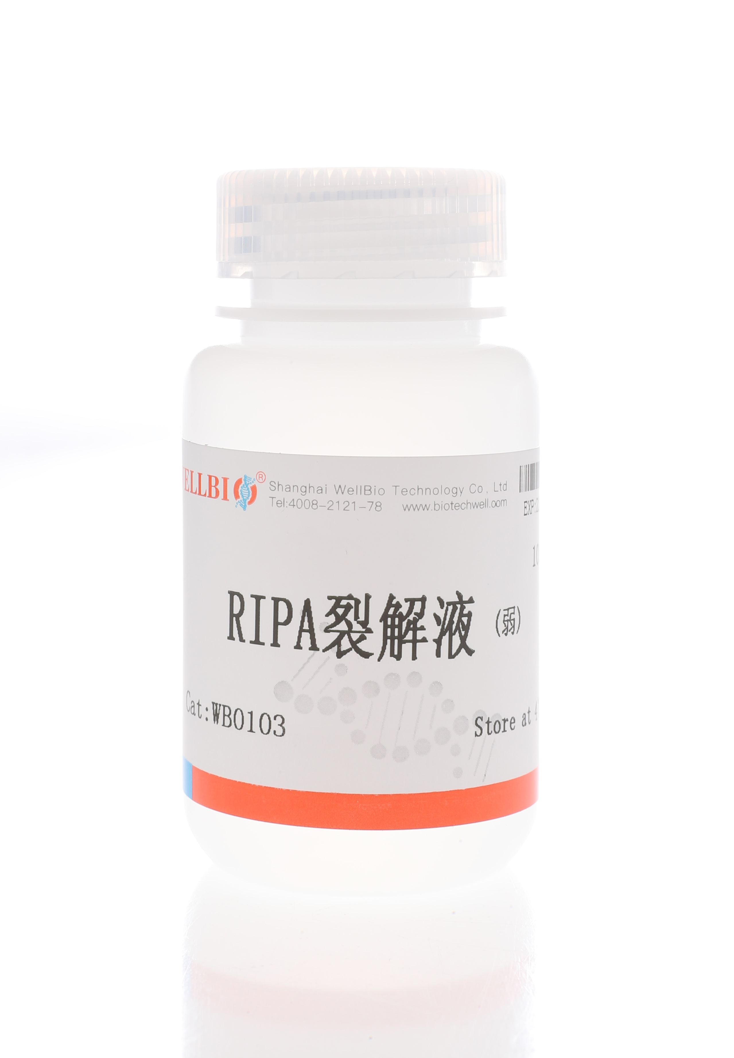 RIPA裂解液_威奥生物