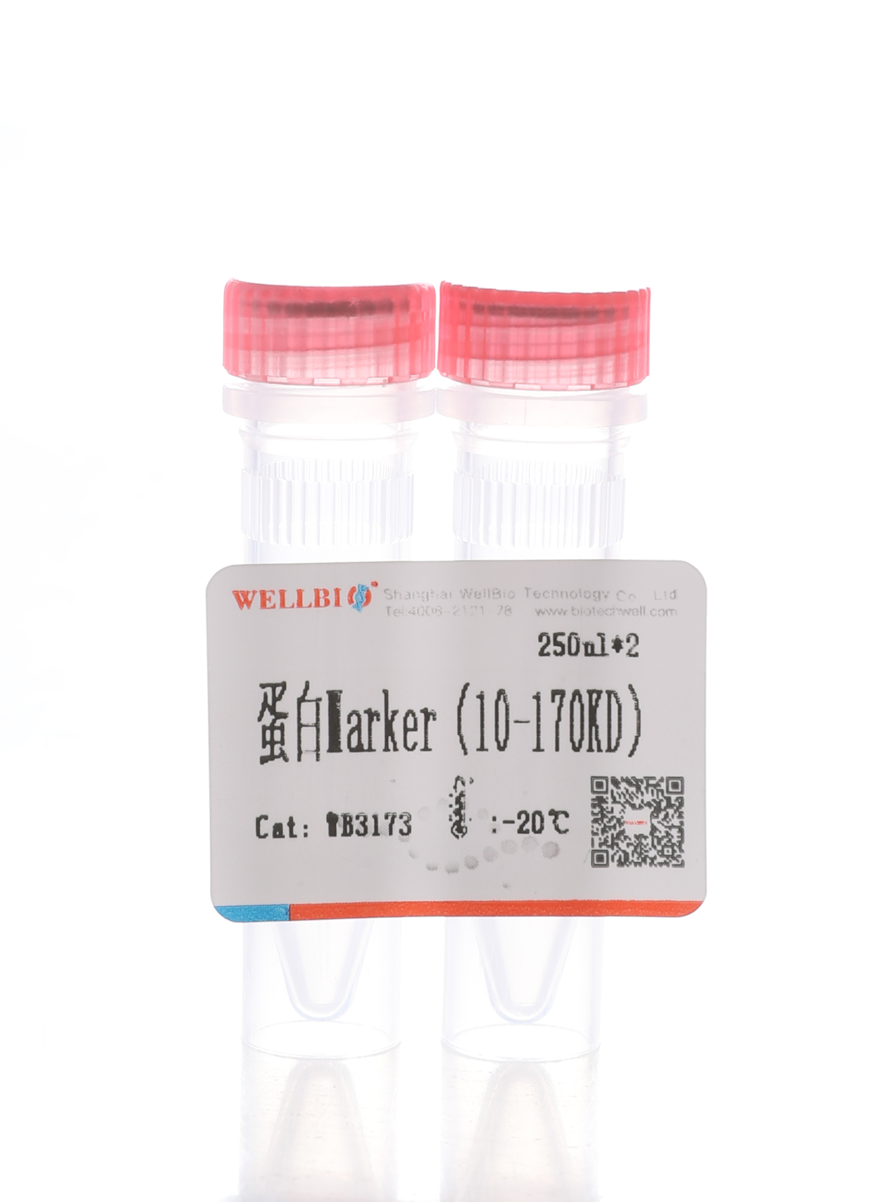 彩色预染蛋白Marker（10-180KD）_威奥生物