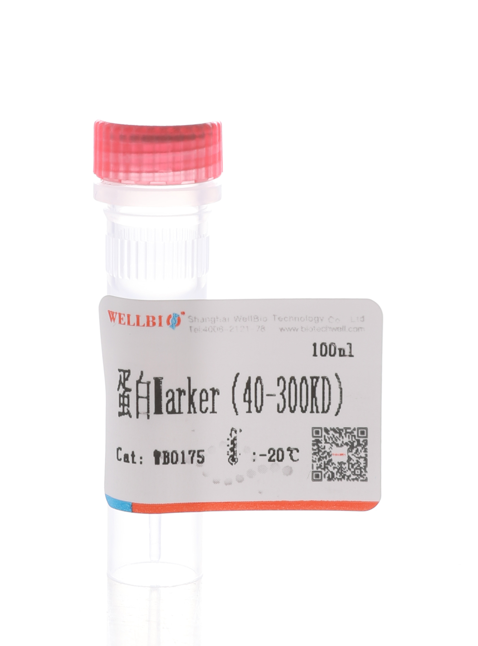 彩色预染蛋白Marker（40-300KD）_威奥生物